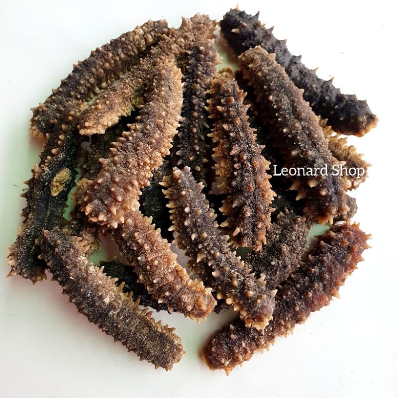 Jual HAISOM DURI XL SUPER KUALITAS EKSPOR ( 1 KILO JADI 4-5 KG ...