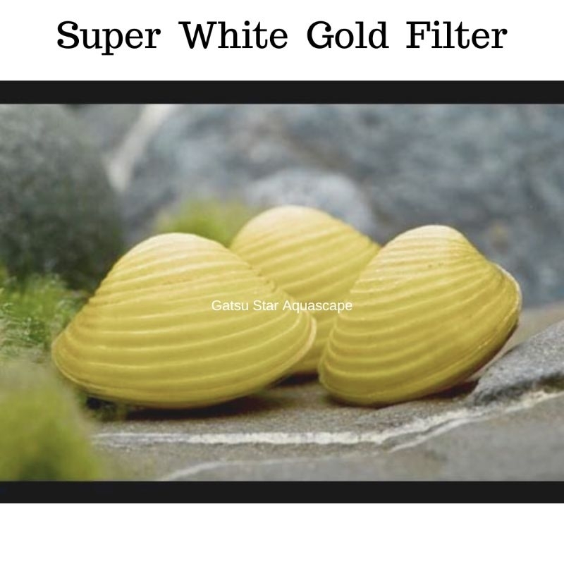 Jual Super White Gold Filter Biologis Aquascape | Shopee Indonesia