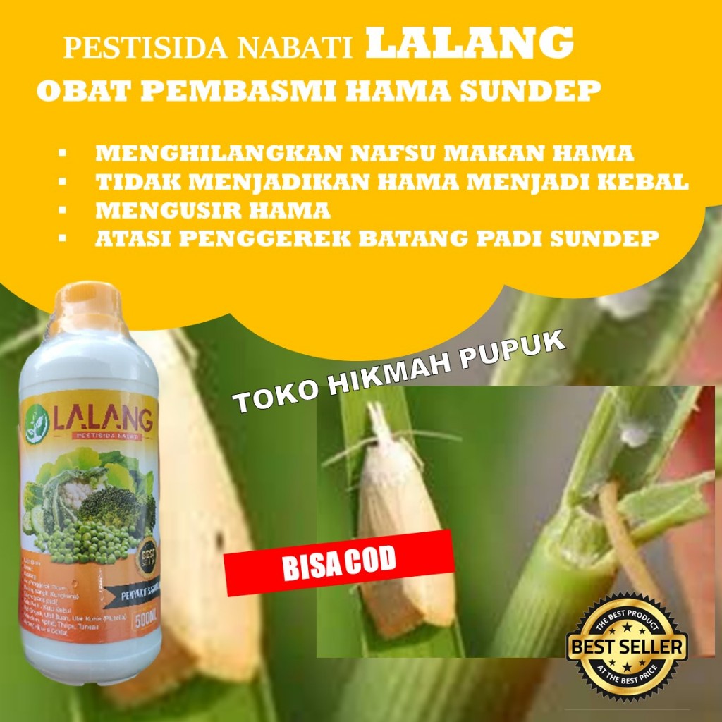 Jual Bisa COD Obat Semprot Pembasmi Hama Sundep Padi pada semua Jenis ... Jual Bisa COD Obat Semprot Pembasmi Hama Sundep Padi pada semua Jenis ...