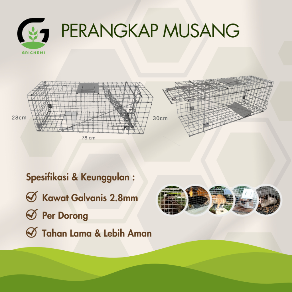 Jual PERANGKAP MUSANG KUCING GARANGAN LIPAT JEBAKAN MUSANG KUCING ...
