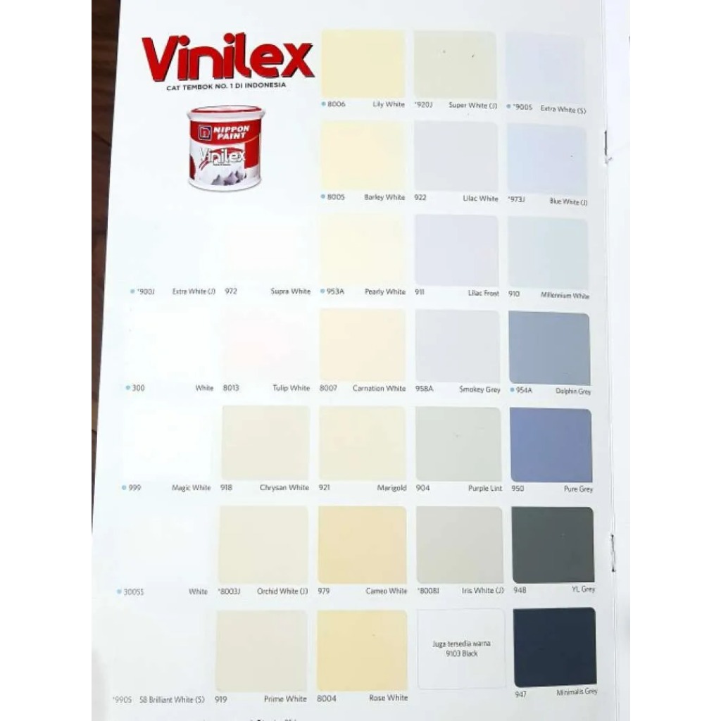 Vinilex store