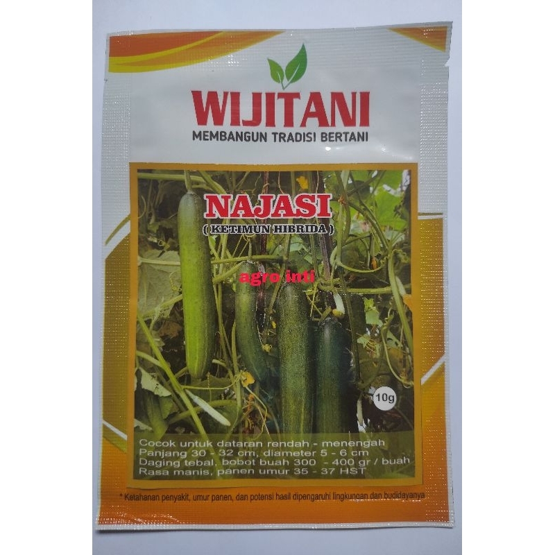 Jual Benih timun hibrida NAJASI kemasan 10gram dari Wiji tani | Shopee ...