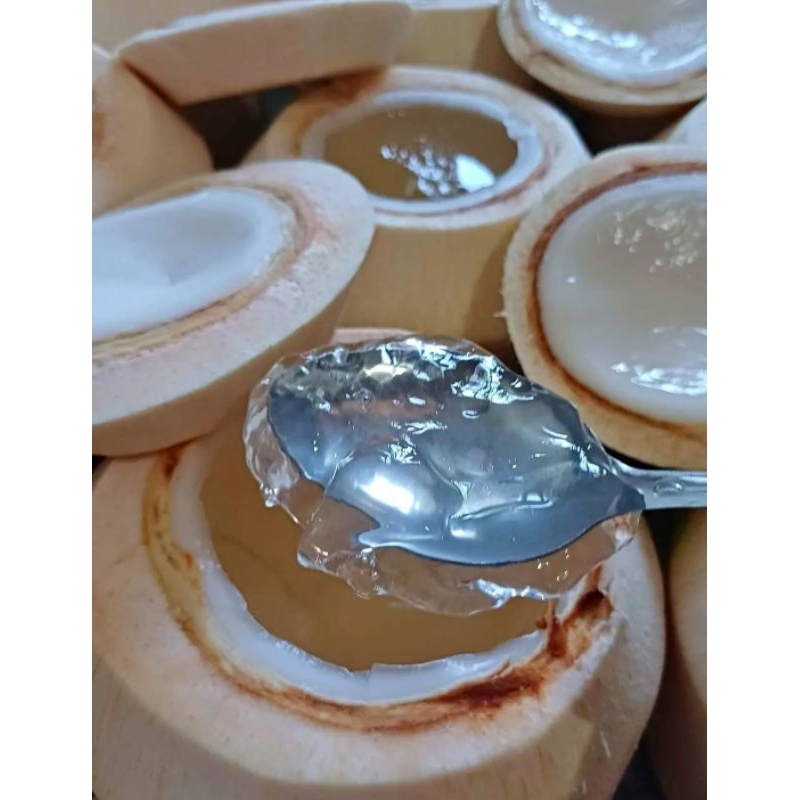 Jual Degan jelly uk.sedang (Ready Besok Selasa/Rabu) | Shopee Indonesia