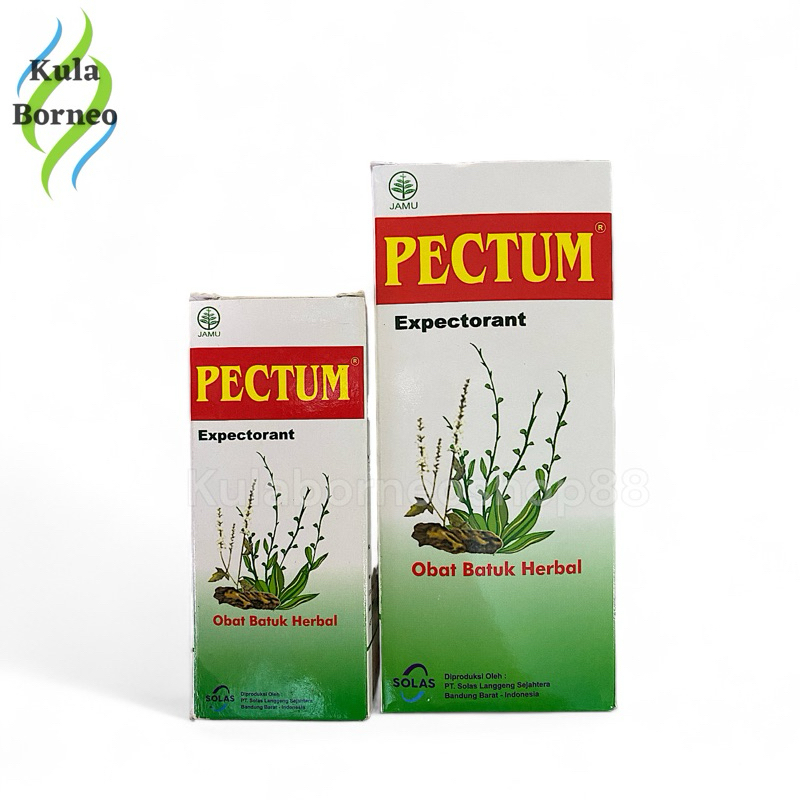 Jual PECTUM Sirup Expectorant | Shopee Indonesia