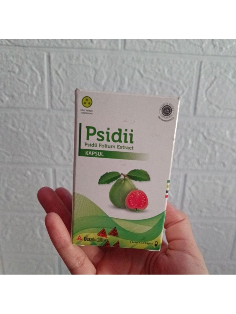 Jual Psidii folium obat herbal DBD demam berdarah trombosit booster ...