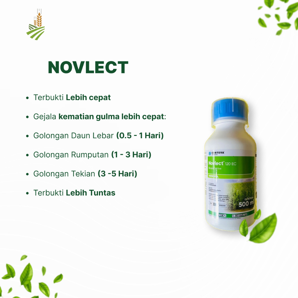 Jual Pembasmi Rumput Liar di Padi | Novlect Herbisida Sistemik - 500 ml ...