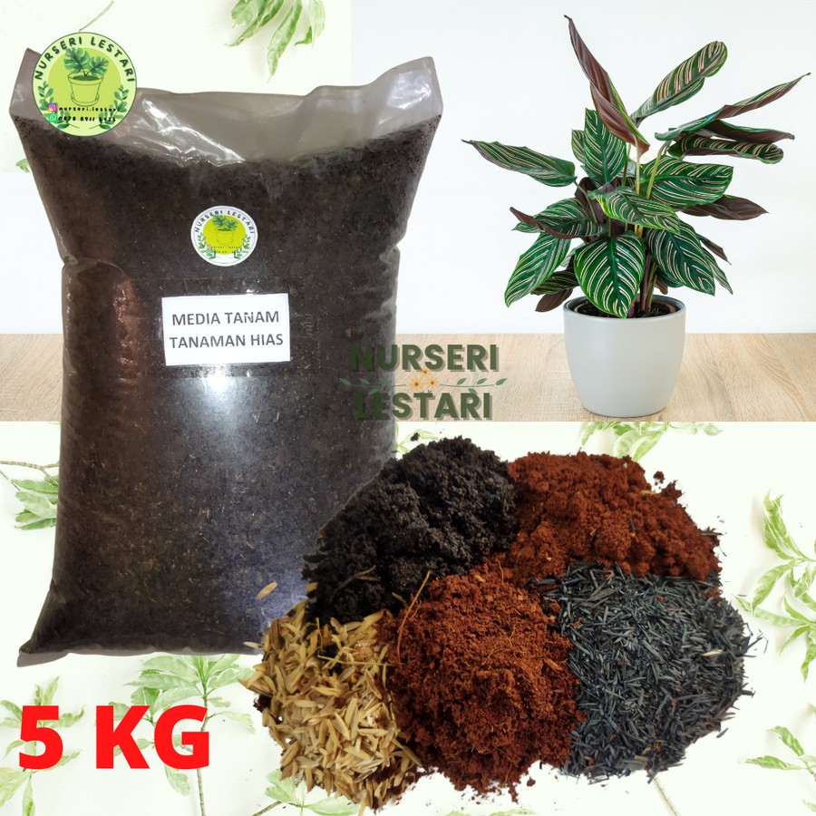 Jual Media Tanam Untuk Tanaman Hias Siap Pakai 5KG | Shopee Indonesia