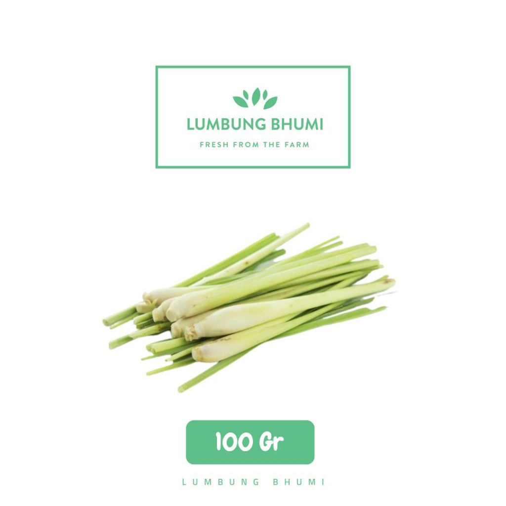 Jual Batang Serai Besar Sayur 100 Gr - Lumbung Bhumi | Shopee Indonesia