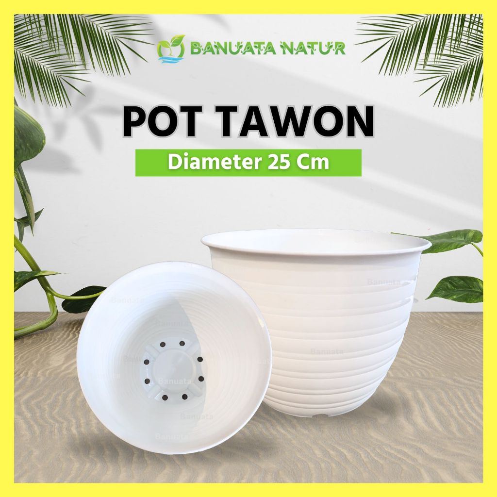 Jual POT TAWON PUTIH 25 CM - POT TANAMAN BERKUALITAS BANUATA | Shopee ...