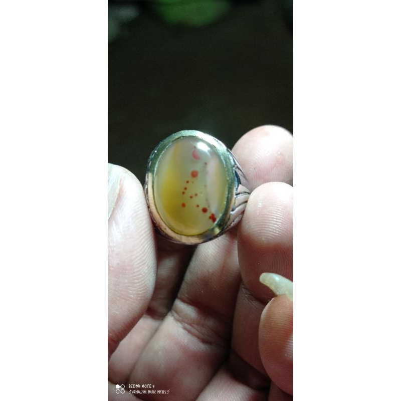 Jual RAFLESIA MOTIF BERCAK DARAH | Shopee Indonesia