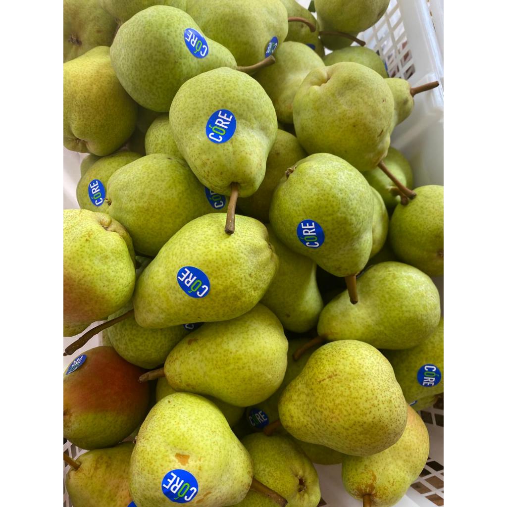 Jual Buah Pear Pakam 500gram Freash | Shopee Indonesia