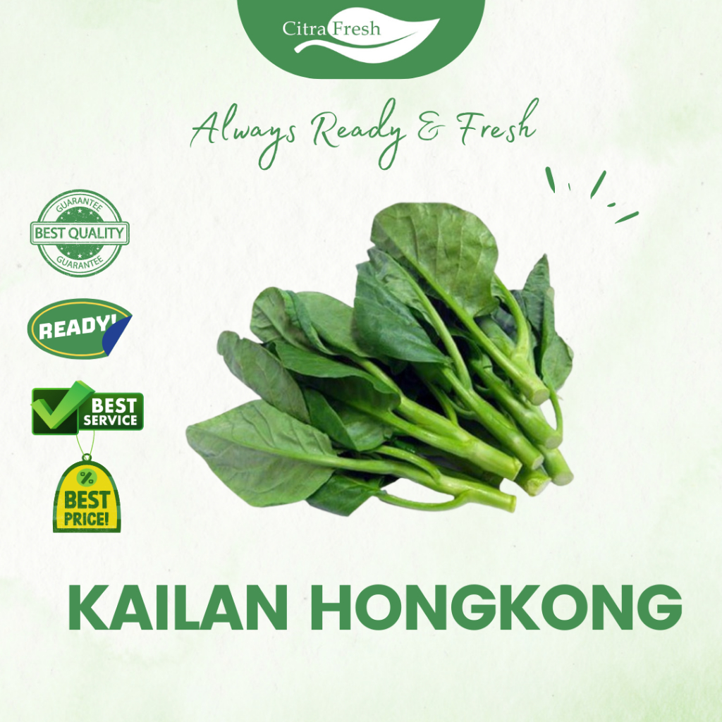 Jual CITRA FRESH - Kailan hongkong 250 Gram - Selalu Ready dan Fresh ...