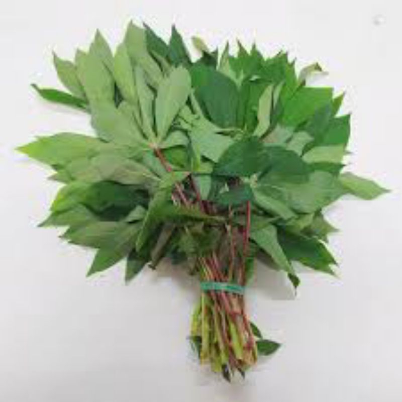 Jual singkong , singkong parut ,tape singkong,daun singkong, singkong ...