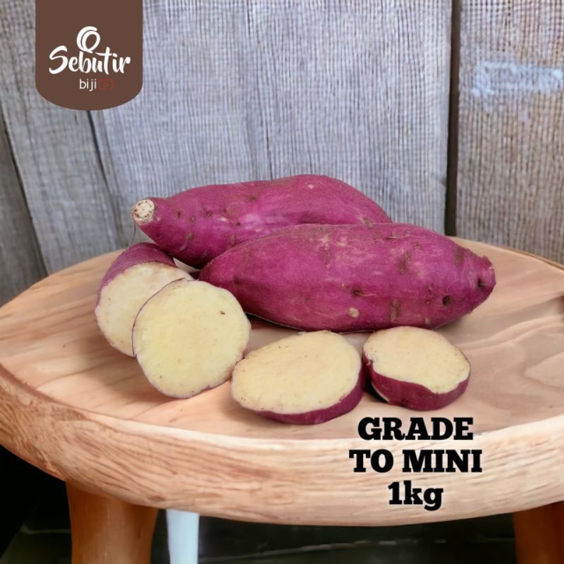 Jual Ubi jepang beniazuma new ubi merah pinky spek mini TO isi banyak ...