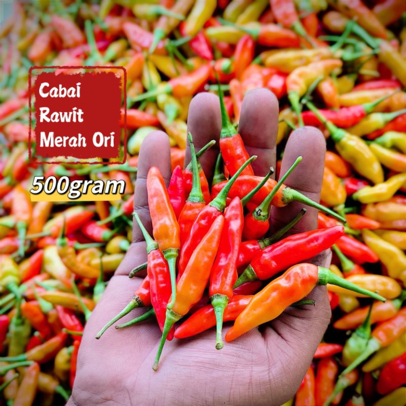 Jual Cabe Cabai Lombok Rawit Merah Fresh Segar 500gram Cabe Setan ...