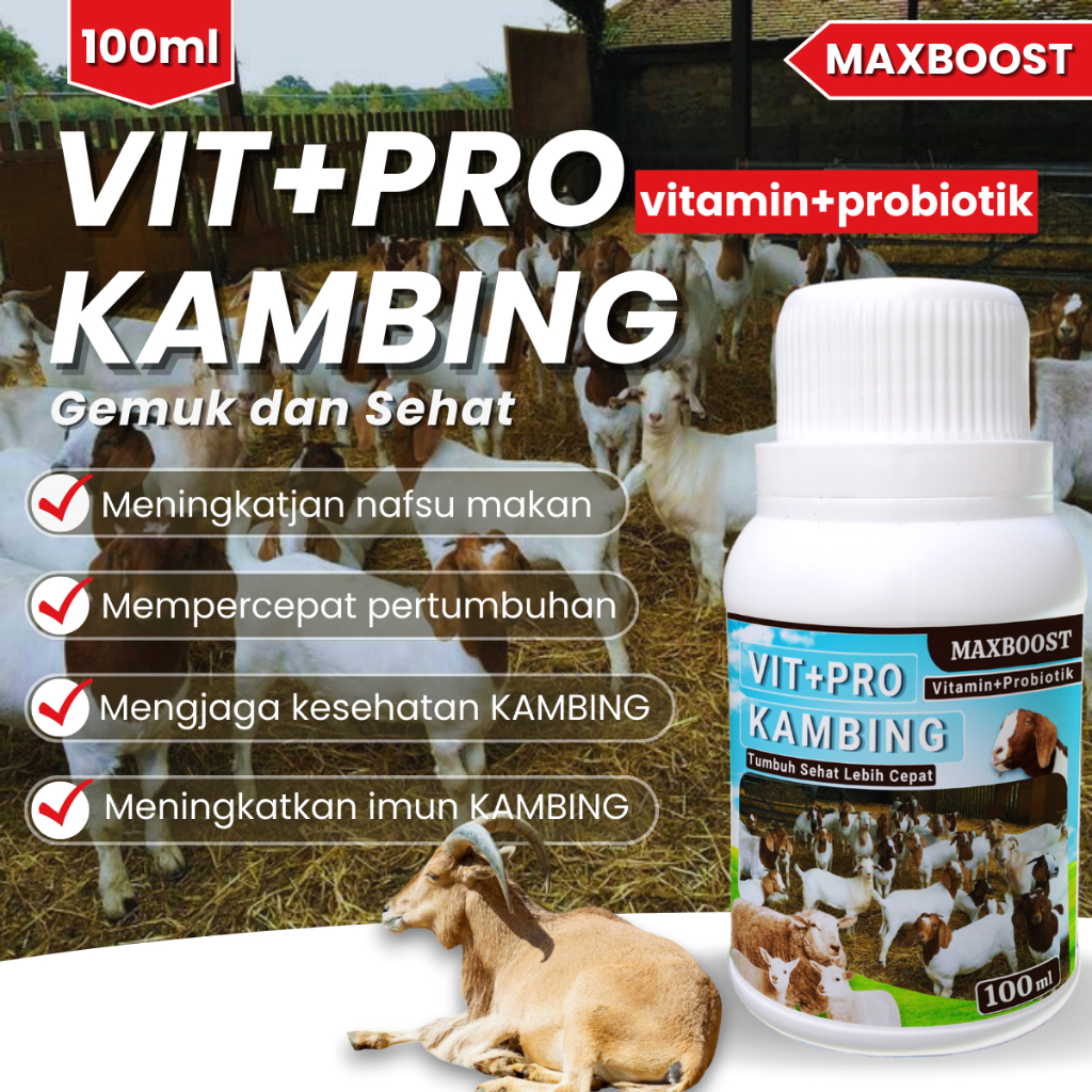 Jual VIT+PRO Penggemuk Kambing 100% Vitamin Hewan Ternak Aman, VITAMIN ...