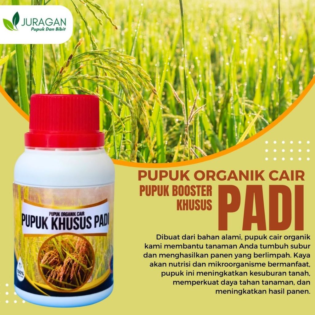 Jual Pupuk Padi Sawah Terbaik, Pupuk Padi Semprot, Pupuk Padi Pelebat ...