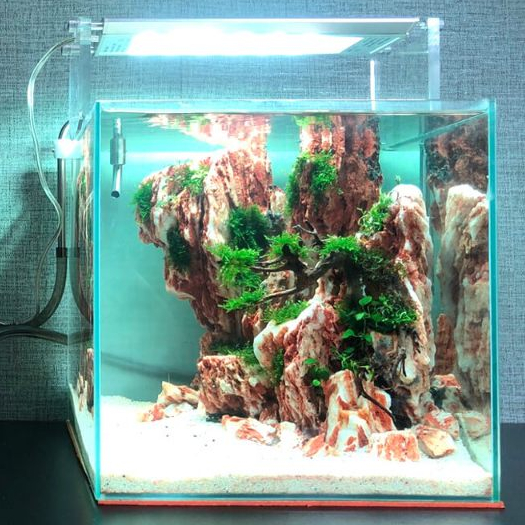 Jual Aquarium Polos UK. 30x30x30 Aquarium kaca Polos Bening | Shopee ...
