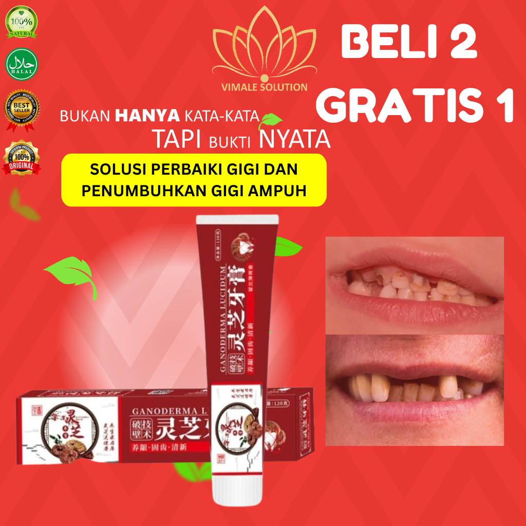 Jual Ganoderma Lucidum Penumbuh Gigi Perbaikan gigi berlubang Orginal ...
