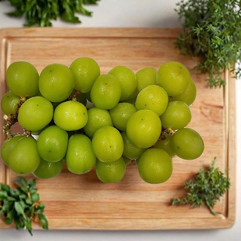 Jual Anggur shine muscat seedless 500 grams | Shopee Indonesia