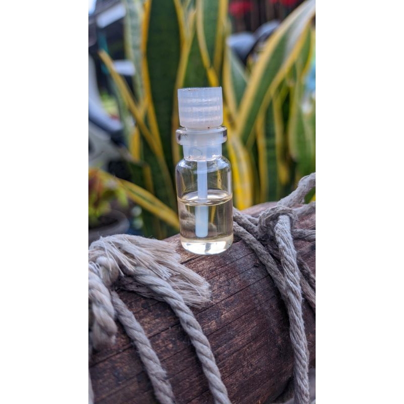 Jual Minyak Misk Putih 3ml ( Perawatan Pusaka ) | Shopee Indonesia