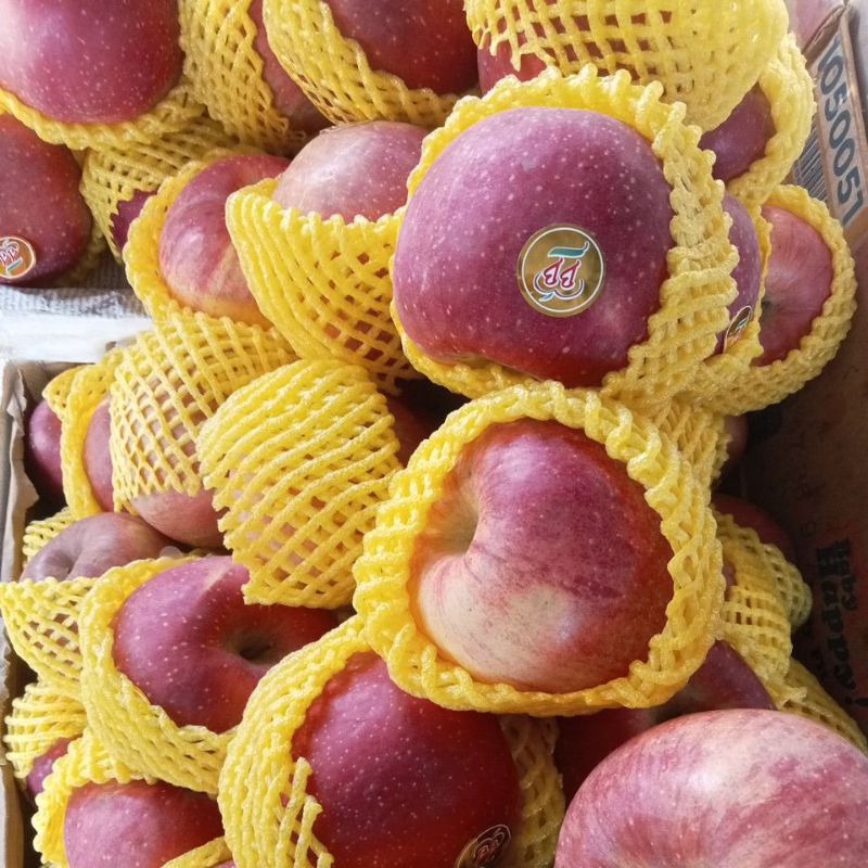 Jual Apel fuji premium besar 1kg | Shopee Indonesia