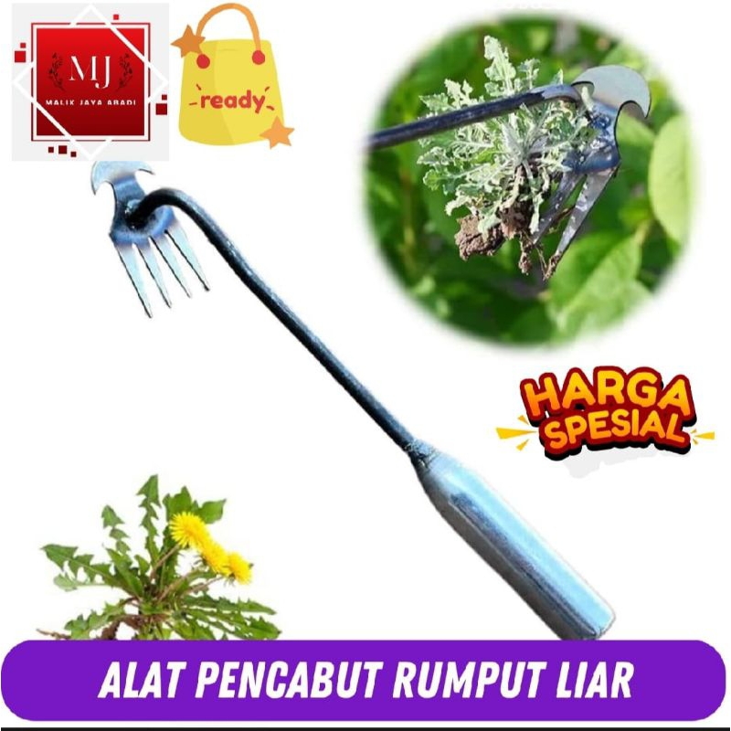 Jual alat pencabut rumput liar | Shopee Indonesia