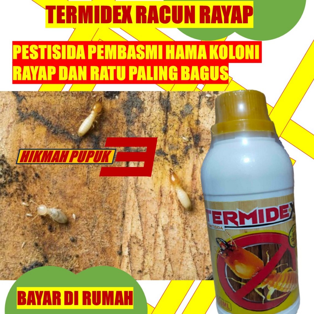 Jual Obat Cair Anti Rayap / Racoon Rayap di Kayu, Tanaman, dan Pondasi ...