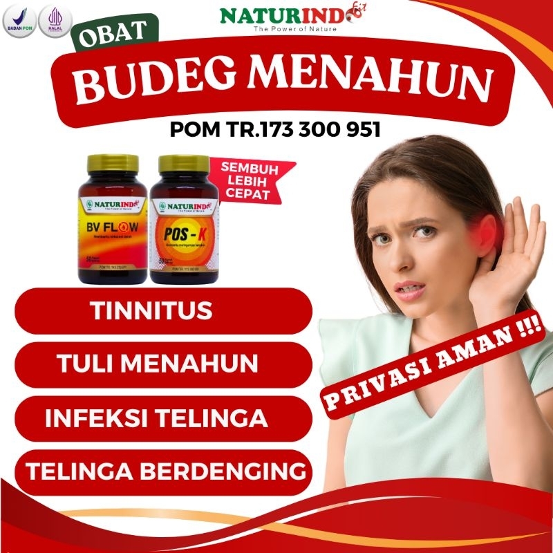 Jual Obat Budeg Menahun Tuli Gangguan Pendengaran Telinga Bernanah ...