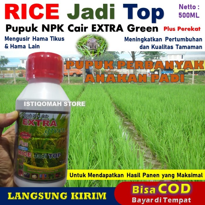 Jual Pupuk NPK Cair untuk Perbanyak Anakan Padi Lebat dan Bagus Paling Manjur RICE JADI TOP ...