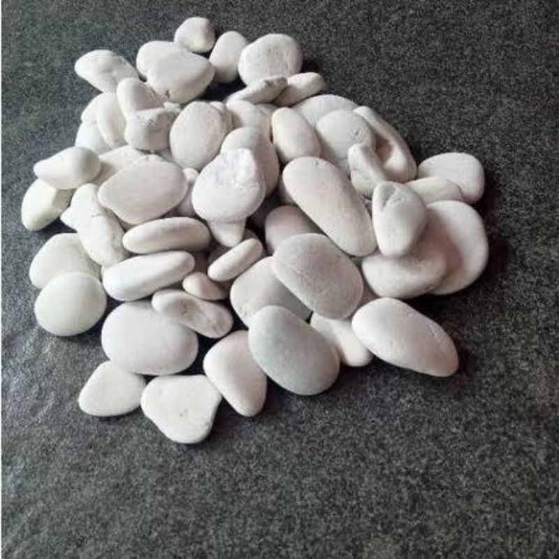 Jual Batu Coral 500gr Batu Koral Kupang Putih | Shopee Indonesia