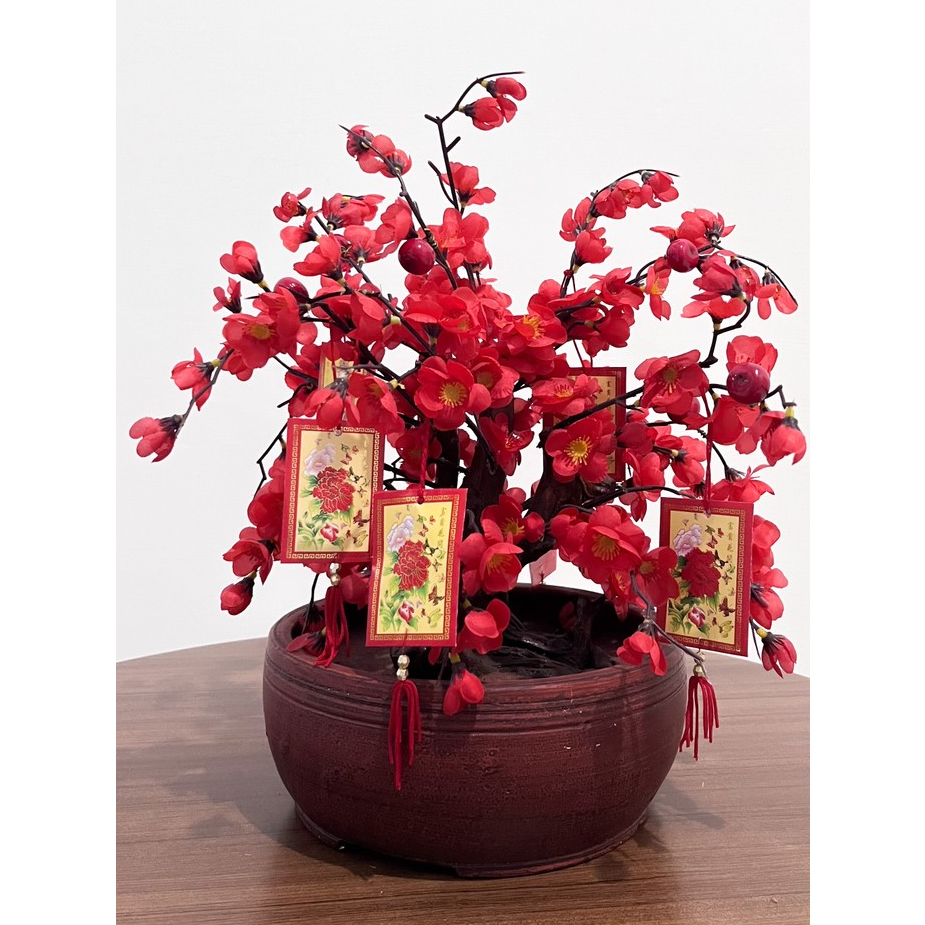 Jual Pohon bunga imlek meihua sakura mehwa Merah | Shopee Indonesia