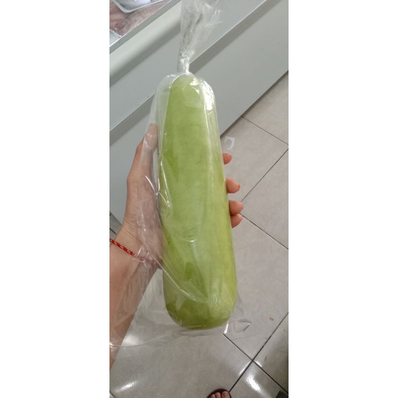 Jual Labu Air | Shopee Indonesia