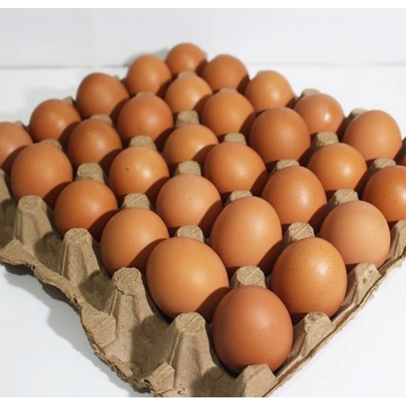 Jual TELOR AYAM 1 KG (Kwalitas Bersih) | Shopee Indonesia