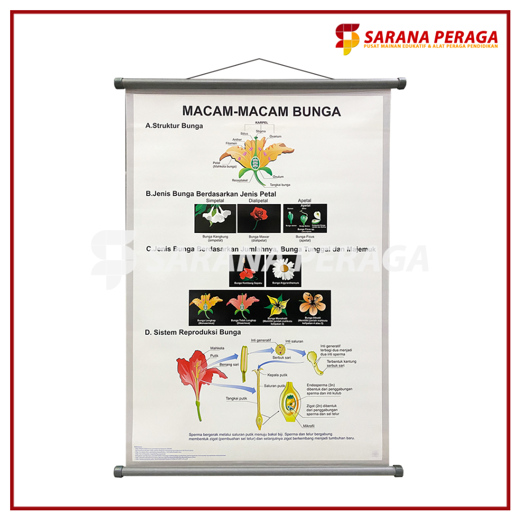 Jual SaranaPeraga - Carta Poster Gambar Macam Macam Bunga / Carta Alat ...
