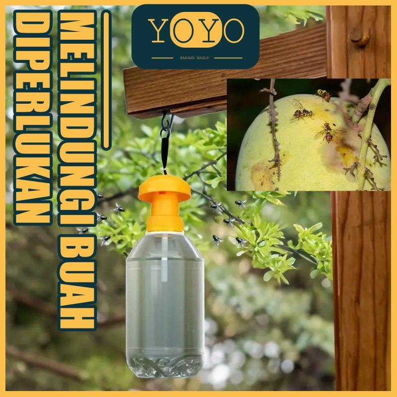 Jual 5PCS Perangkap Lalat Buah Drosophila Bahan Plastik Warna Kuning ...