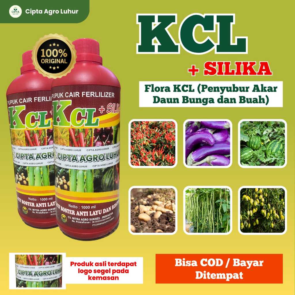 Jual BIO KCL PLUS- SPESIALIS PENUMBUH AKAR DAN PENAMBAH BOBOT BUAH BERGARANSI | Shopee Indonesia