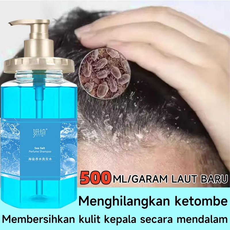 Jual Shampoo Sea Salt 500ml Laut Sampo Anti Ketombe Mengontrol Minyak Sampo Ketombe Shampo Anti ...