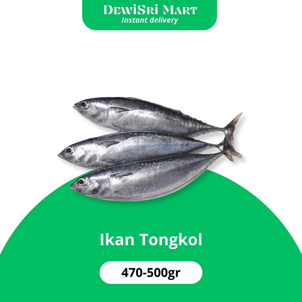 Jual Ikan Tongkol Fresh Frozen 470-500gr - Dewi Sri Mart | Shopee Indonesia