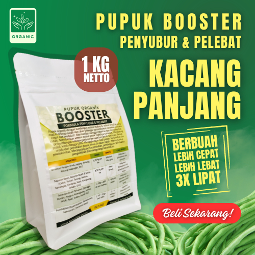 Jual 1Kg Pupuk Padat Booster Pelebat Buah Kacang Panjang Penyubur Penumbuh Pemacu Perangsang ...