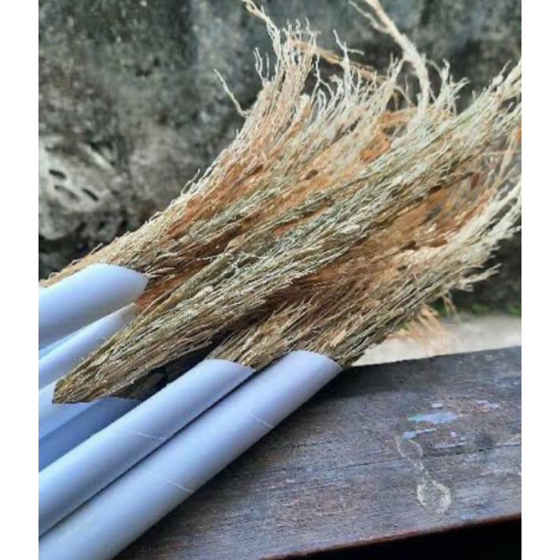 Jual Merang ketan hitam jerami ketan hitam perikat | Shopee Indonesia