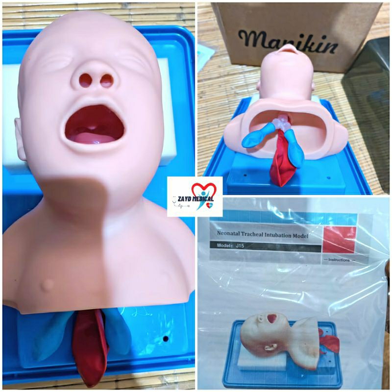 Jual PHANTOM MANIKIN INTUBASI TRAKEA NEONATAL BAYI/ MANIKIN INTUBASI ...