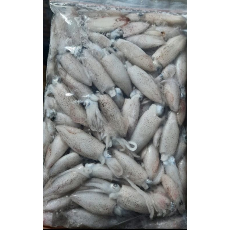 Jual BABY CUMI CUMI SEGAR MUraH 1KG | Shopee Indonesia