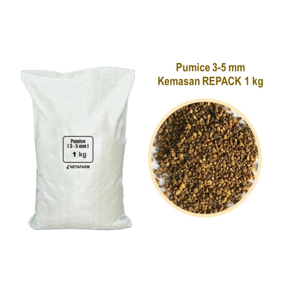 Jual Pumice Batu Apung Media Tanam Kaktus Sukulen Bonsai Tavor 3-5mm ...
