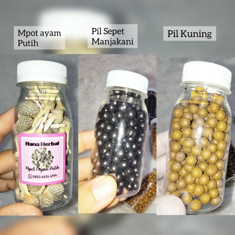 Jual EMPOT MPOT AYAM PUTIH UTUH 100% ORIGINAL / PIL KUNING PELUNTUR ...