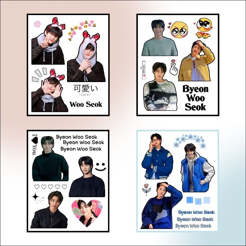 Jual Byeon Woo Seok Stiker Set | Shopee Indonesia