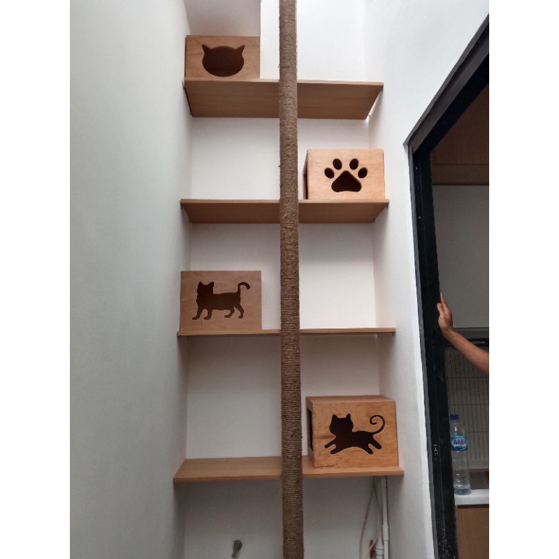 Jual box kucing,tempat tidur kucing, Playground kucing,garukan kucing,t ...