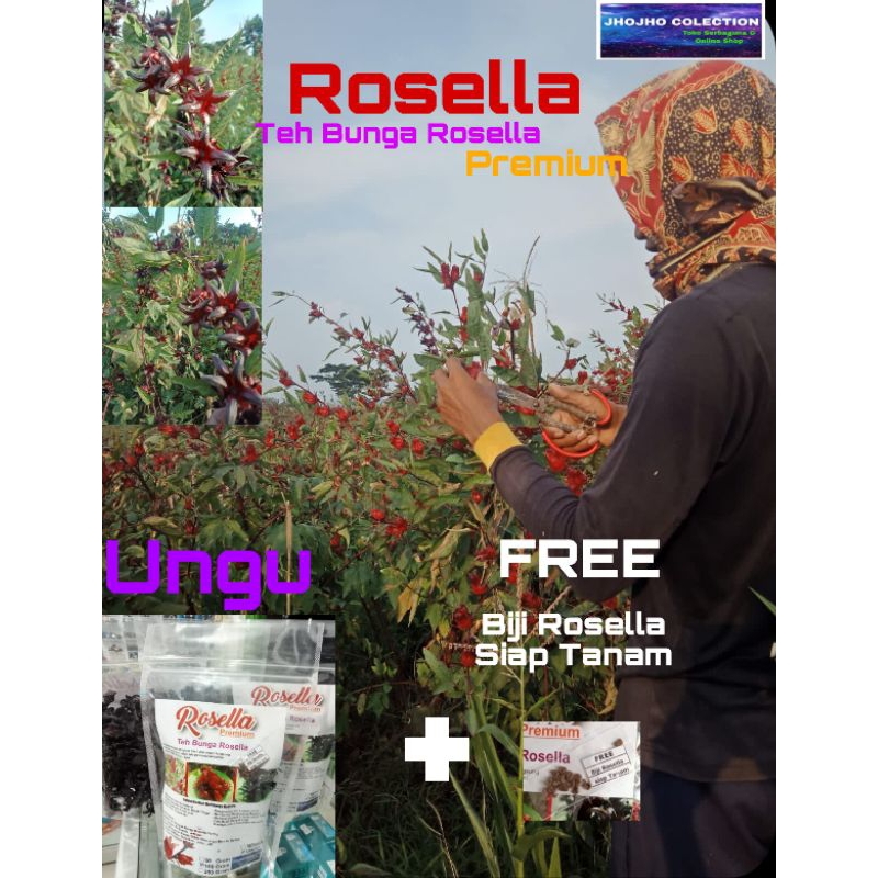 Jual TEH ROSELLA/TEH BUNGA ROSELLA/VARIAN UNGU/HIBICUS/ " FREE BIJI ...