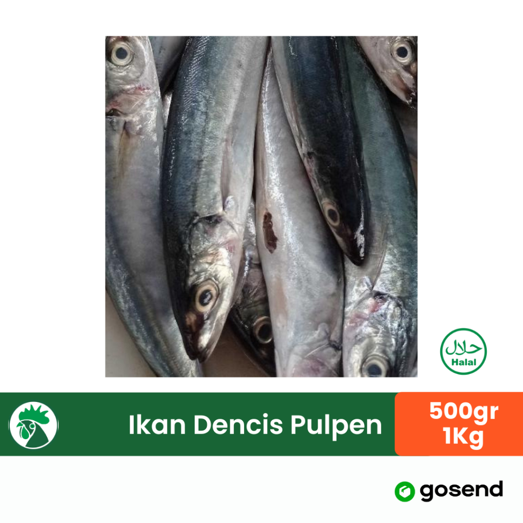 Jual Ikan Dencis Pulpen Fresh Frozen | Ikan Dencis Bersih | Shopee ...