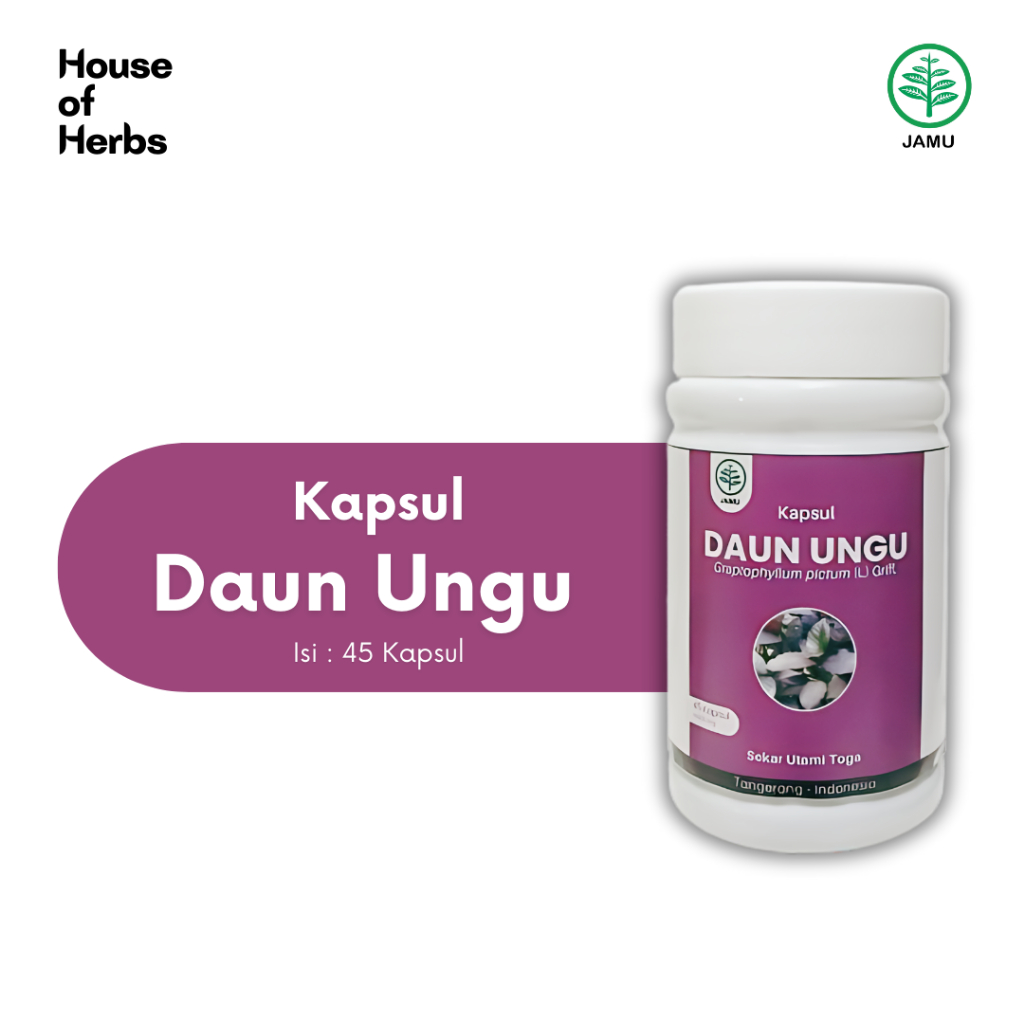 Jual Kapsul Daun Ungu | Herbal untuk mengatasi wasir | Herbal untuk ... Jual Kapsul Daun Ungu | Herbal untuk mengatasi wasir | Herbal untuk ...